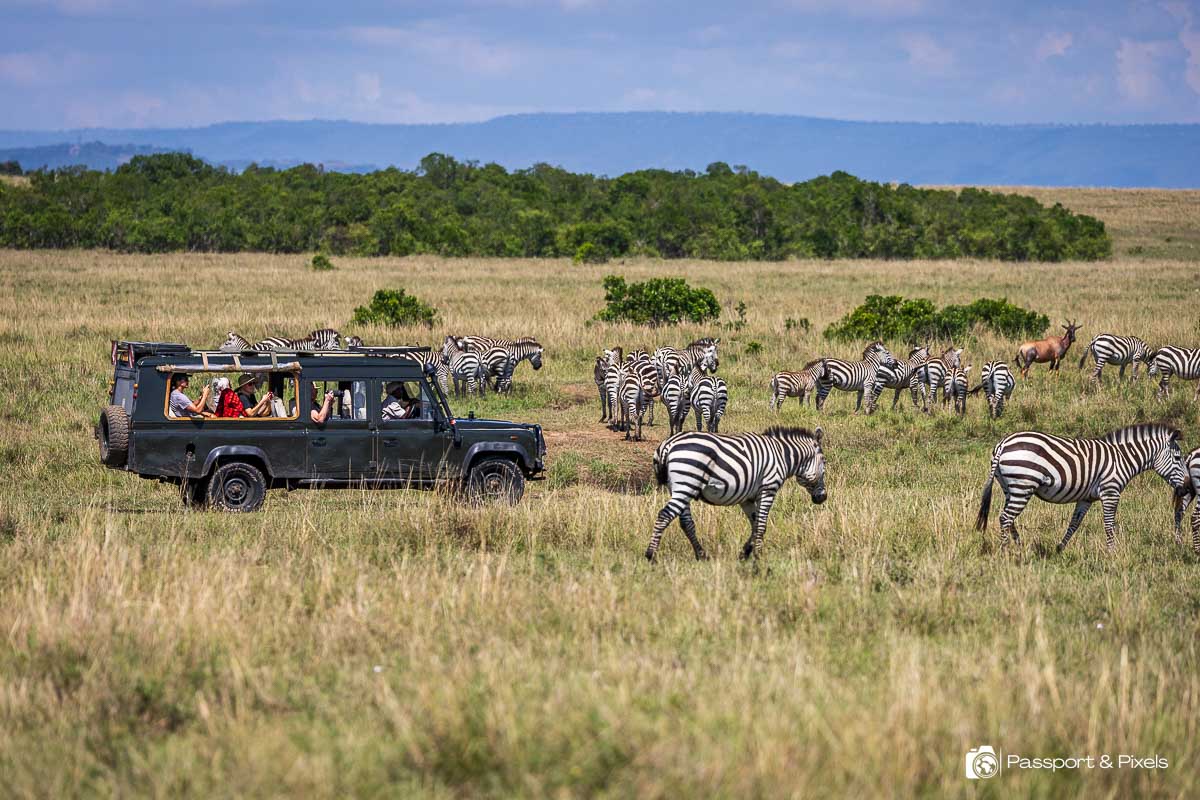 First Time Safari Facts: 18 Surprise Things To Know Before You Go